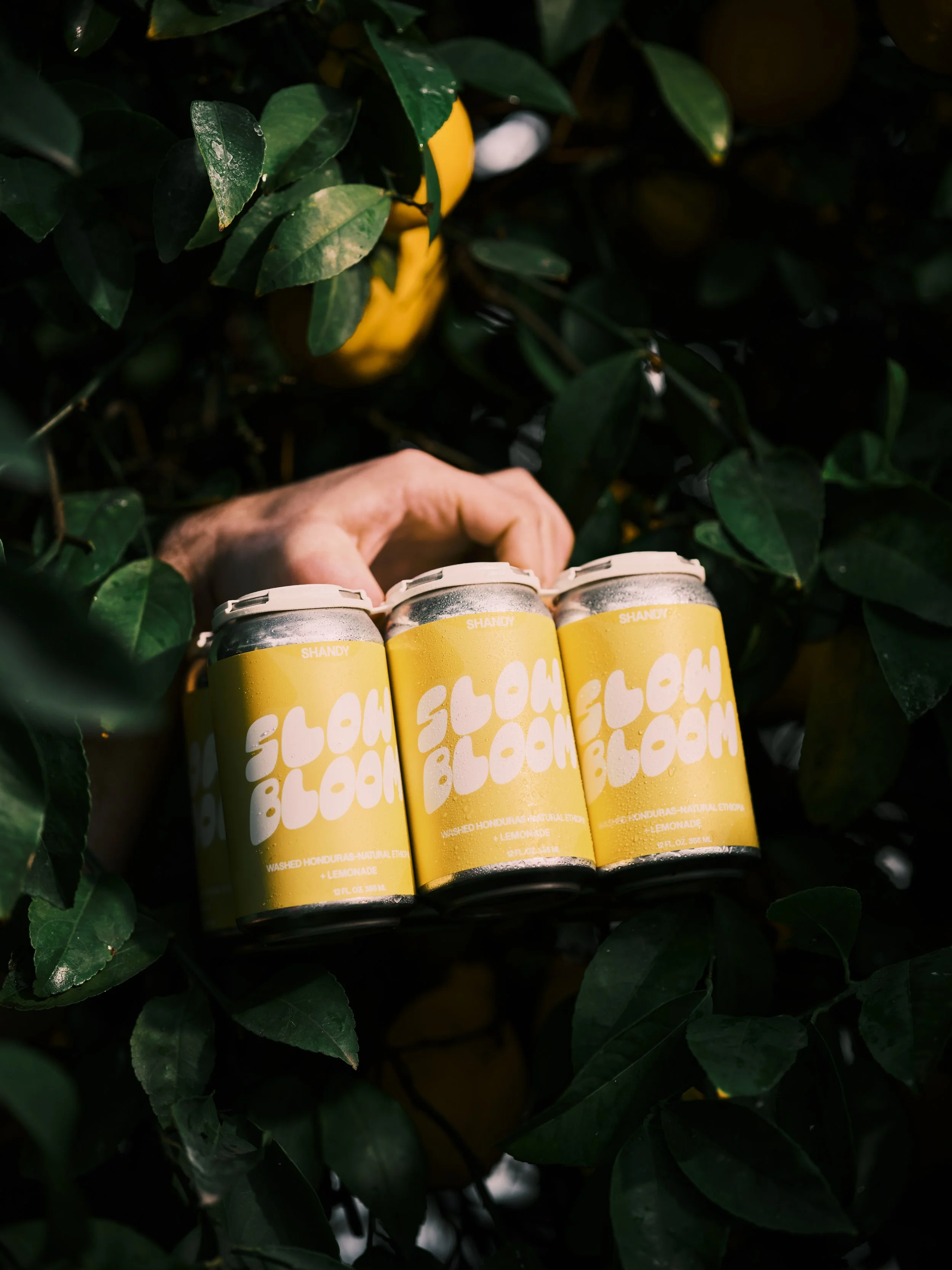 Inti - Golden Honey Typica - Coffee from S... - Every Coffee