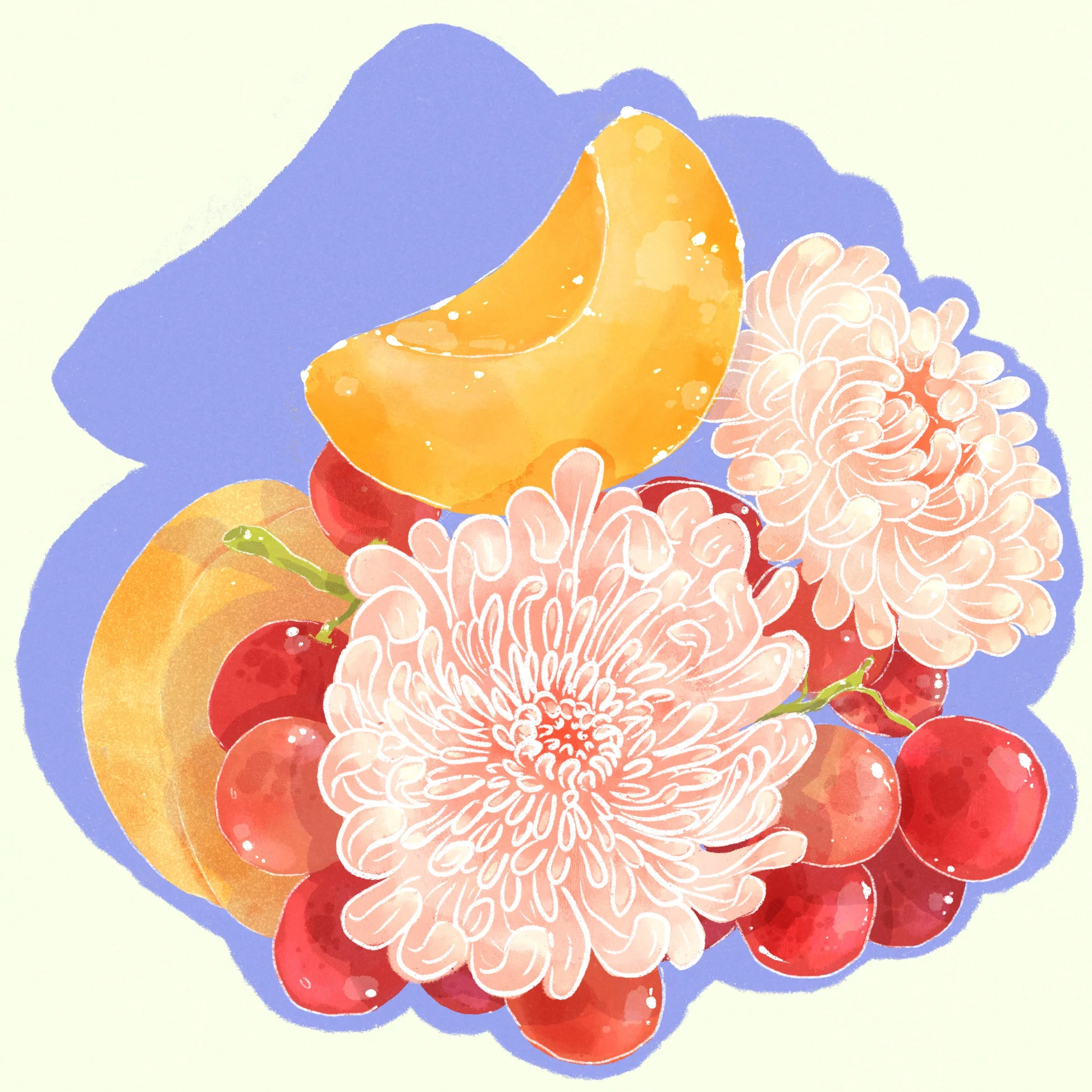 Gesha - Washed DRD - El Burro Lot 16 (Ultr... - Every Coffee