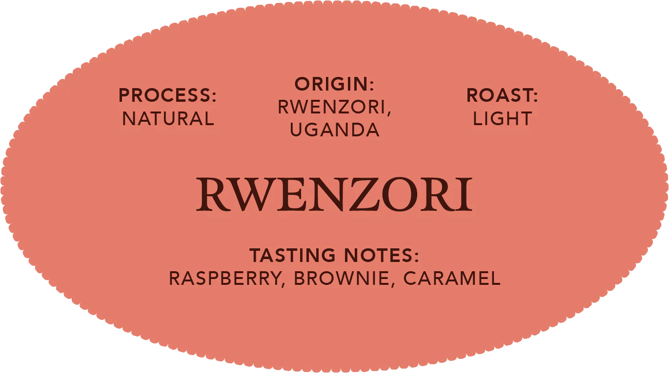 Idido | Single Origin Coffee - Coffee from... - Every Coffee