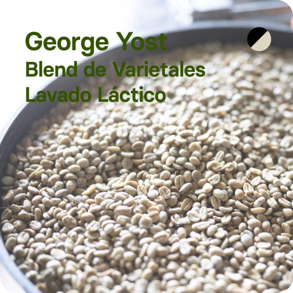 George Yost, Kenya - Coffee from Harmony C... | Every Coffee